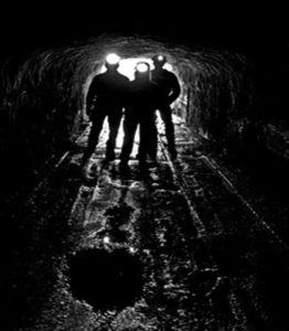 Nexus Mining About Us